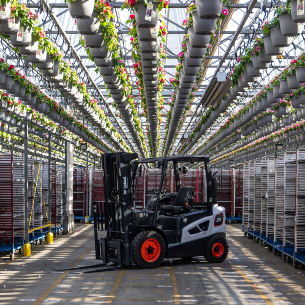 Bobcat Medium-Capacity Diesel Pneumatic Tire Forklift - Vitan Equipment